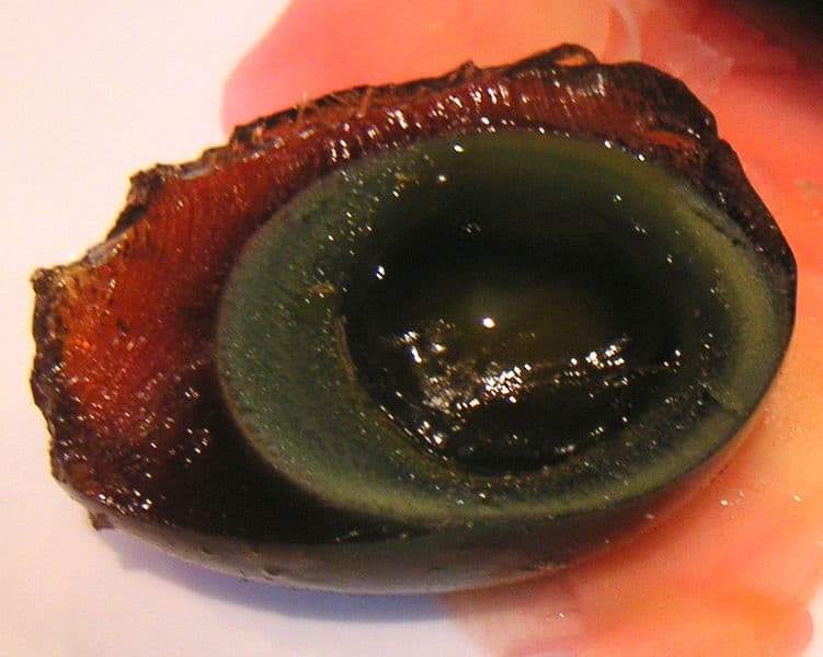 World's Most Disgusting Delicacies