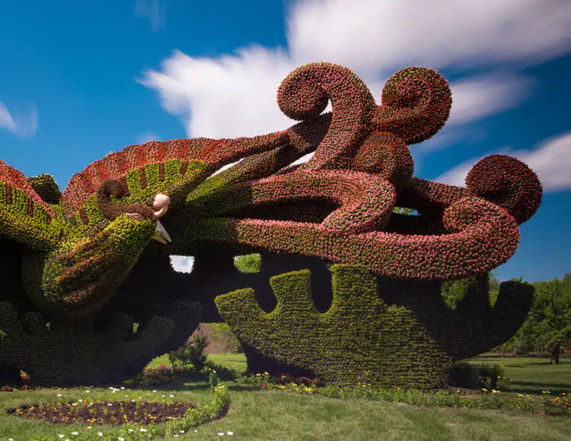 Monumental Plant Sculptures