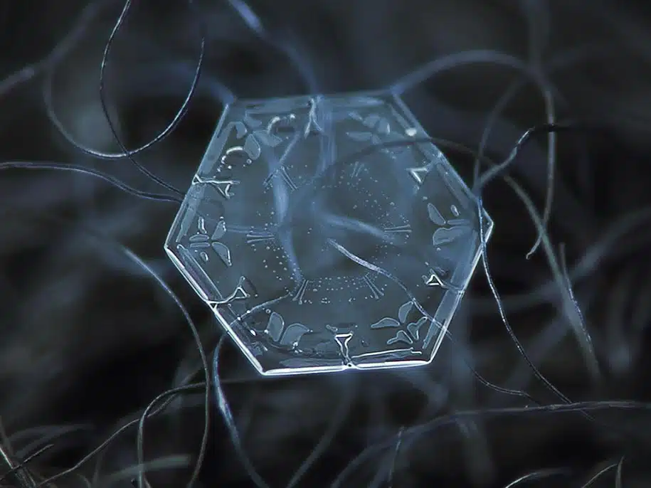Photographer Uses Homemade Lens To Take Incredible Macro Snowflake Pictures