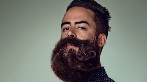 Here's A Bunch Of Pictures Of Hipster Men With Beards Shaped Like Animals