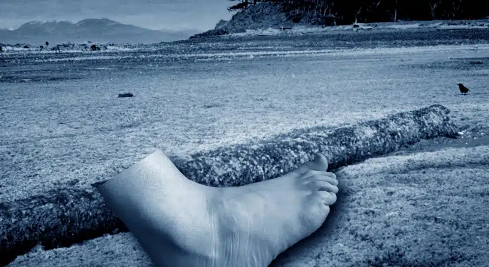 Why Are Detached Human Feet Washing Up On Canadaâ€™s Beaches?