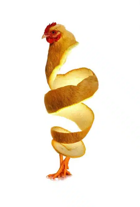 12 Strange Animals Photoshopped As Fruit Or Vegetables