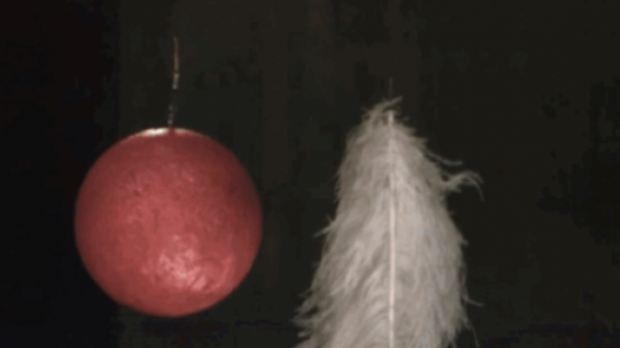 Watch A Bowling Ball And A Feather Falling At The Same Time In A Vaccum