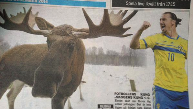 Zlatan Ibrahimovic Killed A 500 Pound Moose With His First Ever Shot ...