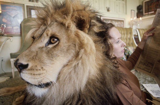 PHOTOS: The Amazing True Story Of A Lion Living With A Family In 1969