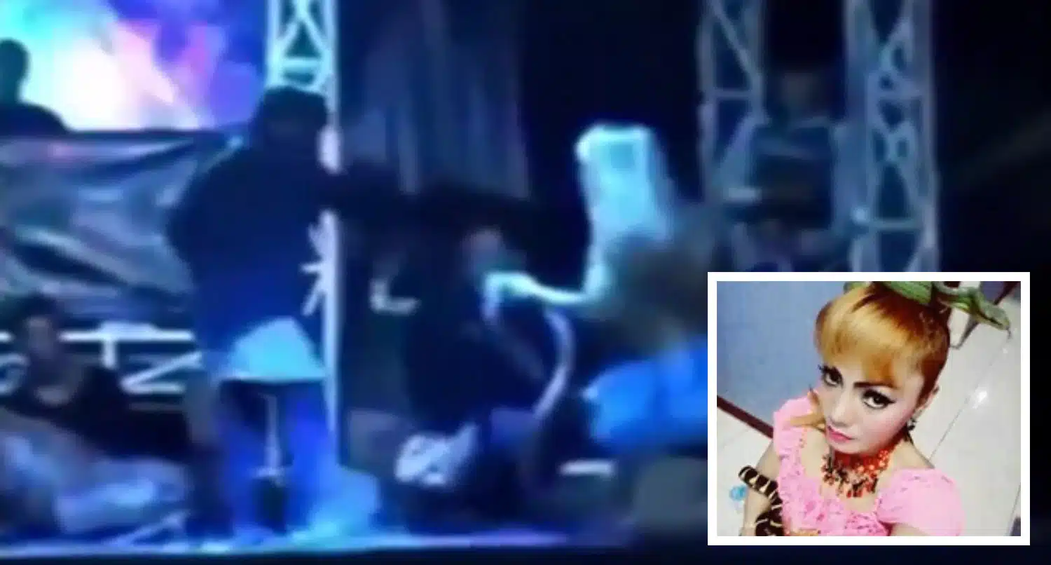 Pop Star Gets Bitten By A Poisonous Snake, Sings For 45 Minutes, Then ...