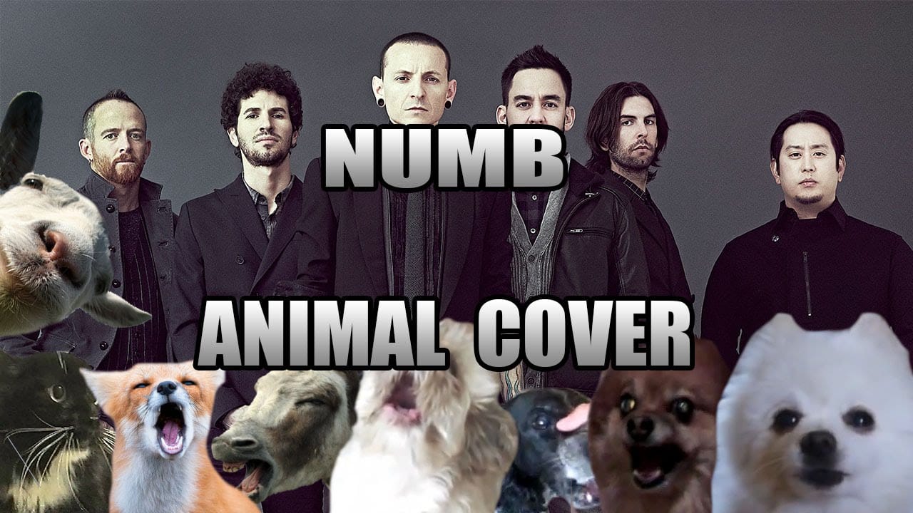 This Version Of Linkin Park's 'Numb' Sang By Dogs And Goats Is Just Perfect