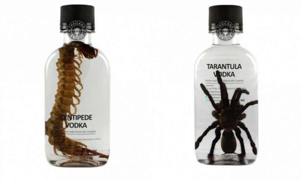 Armour Tail Scorpion Vodka – Sick Chirpse