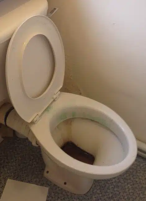 These Are Officially The UK’s Most Disgusting Student Houses