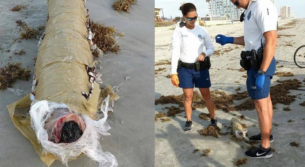 Florida Man Discovers 10 Pound 'Giant Blunt' Washed Up On The Beach