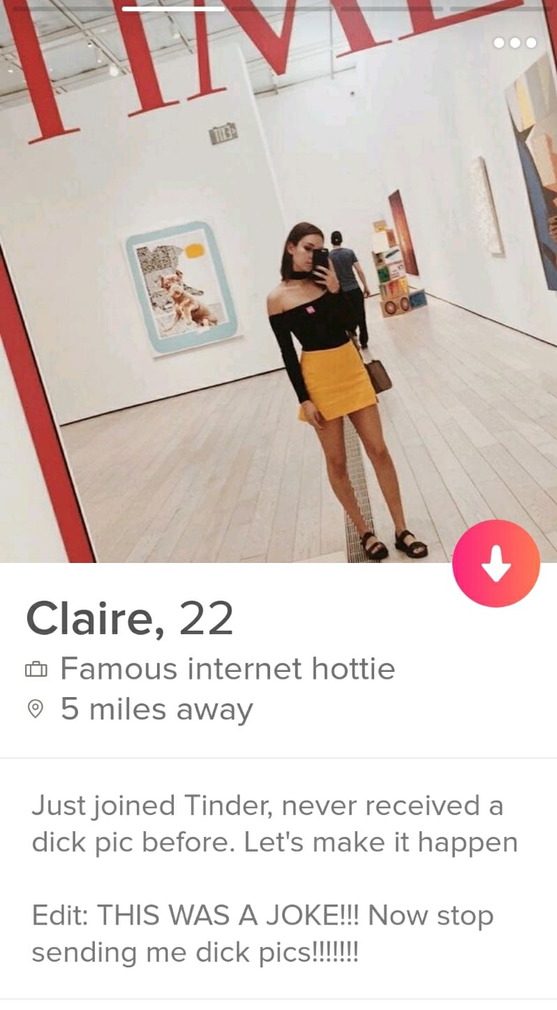 The Best & Worst Tinder Profiles In The World #118