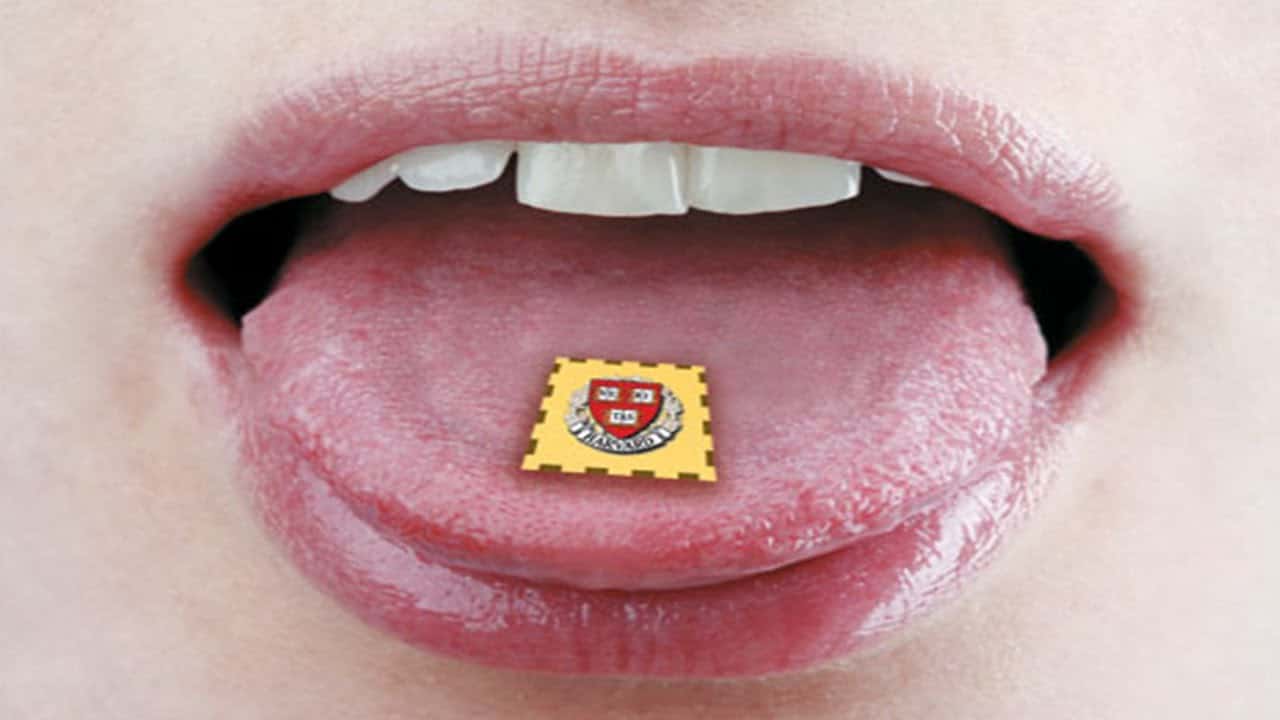 The Sick Chirpse Guide To Taking Psychedelic Drugs
