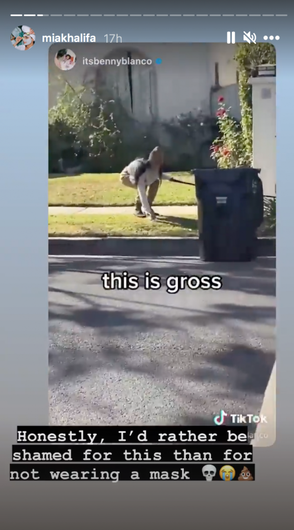 Mia Khalifa Recorded Picking Up Dog Poo With Mask Before Putting It Back On