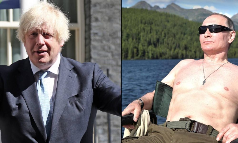 Vladimir Putin Released A Siberian Tiger Into The Wild And Now It’s ...