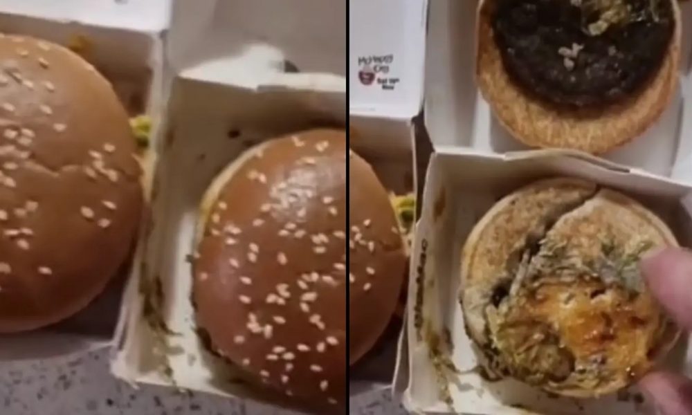 Fresh McDonald's Big Mac Is Exactly The Same As One Bought Three Months Ago