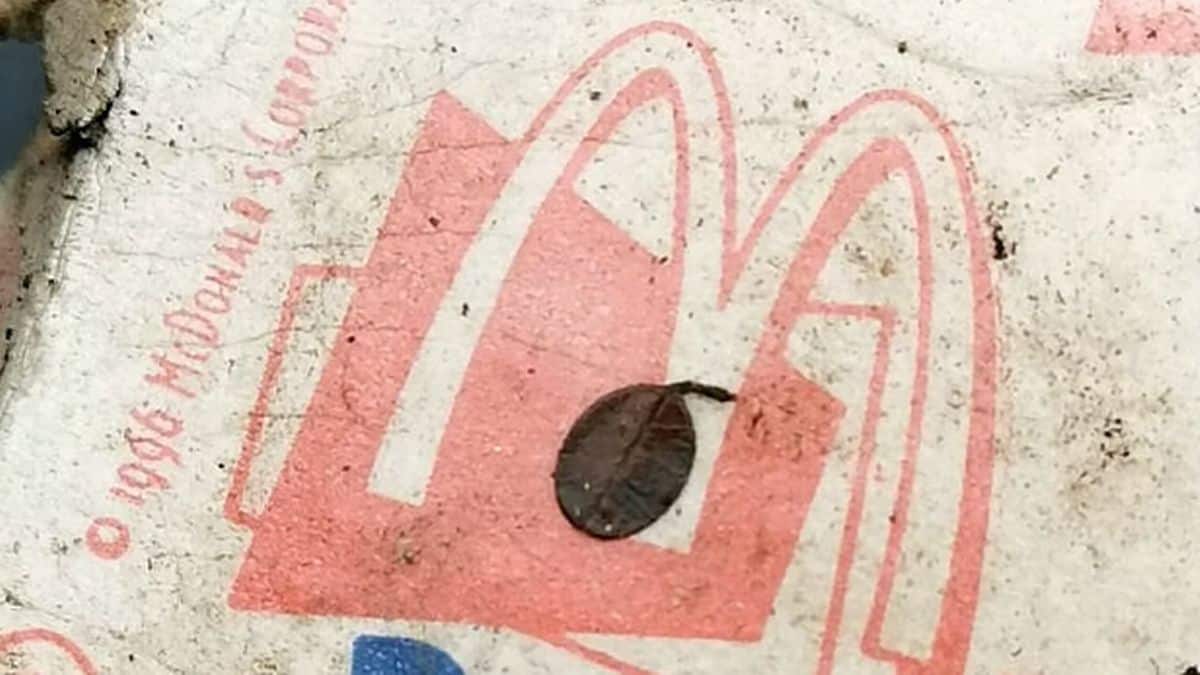 This Big Mac Carton Has Remained Intact For Over 30 Years