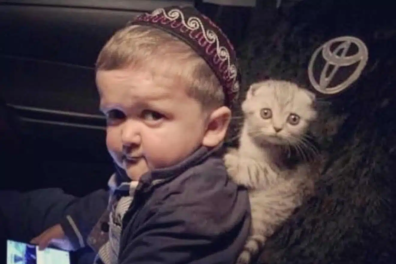 Hasbulla Under Fire For Abusing Cat In YouTube Video