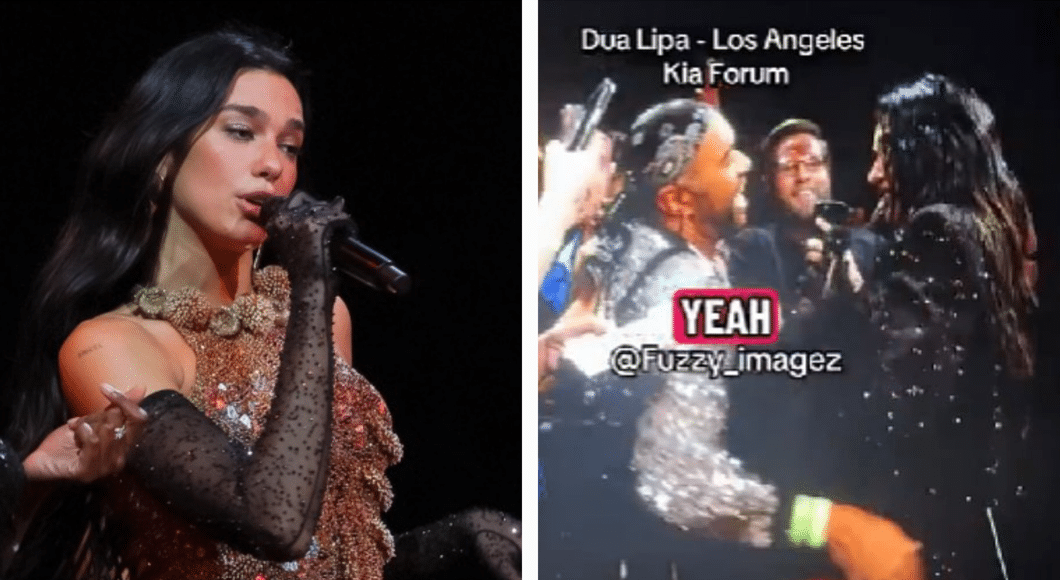 Dua Lipa Inappropriately Touched At LA Concert By Male Fan